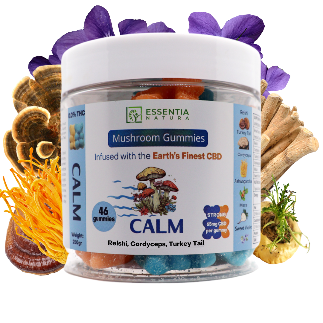 CALM | Reishi, Cordyceps & Turkey Tail | 3000mg CBD – CBD Healing Store Ltd